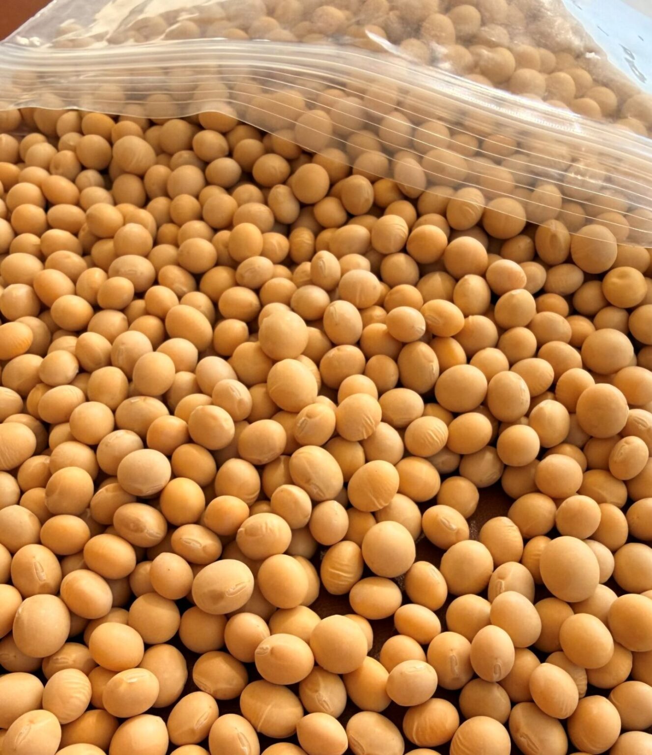 NON GMO SOYBEANS & IP SOYBEANS CANADA - BroadGrain