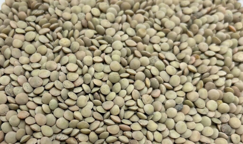 Green Lentils & Red Lentils Canada - BroadGrain