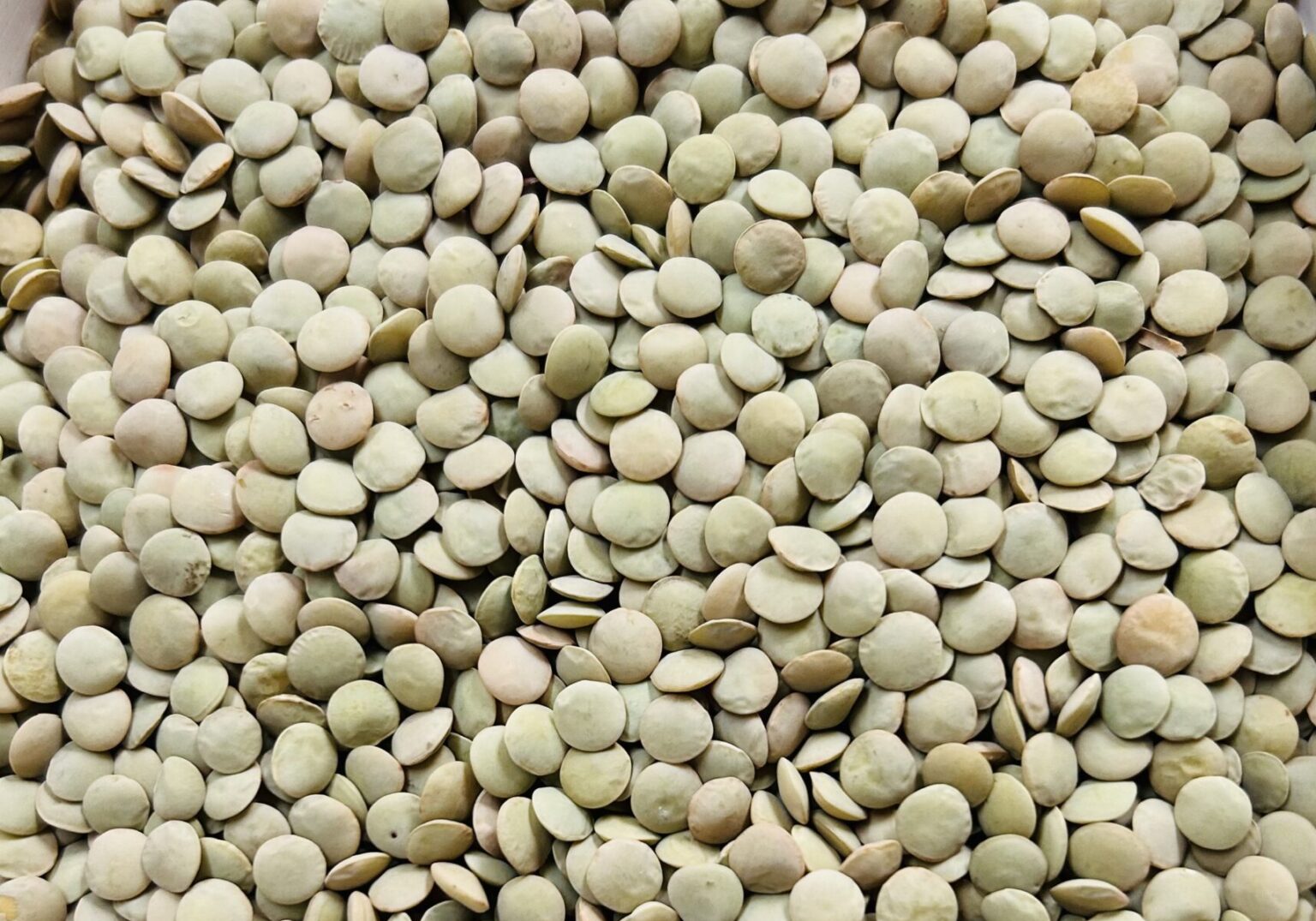 Green Lentils & Red Lentils Canada - BroadGrain