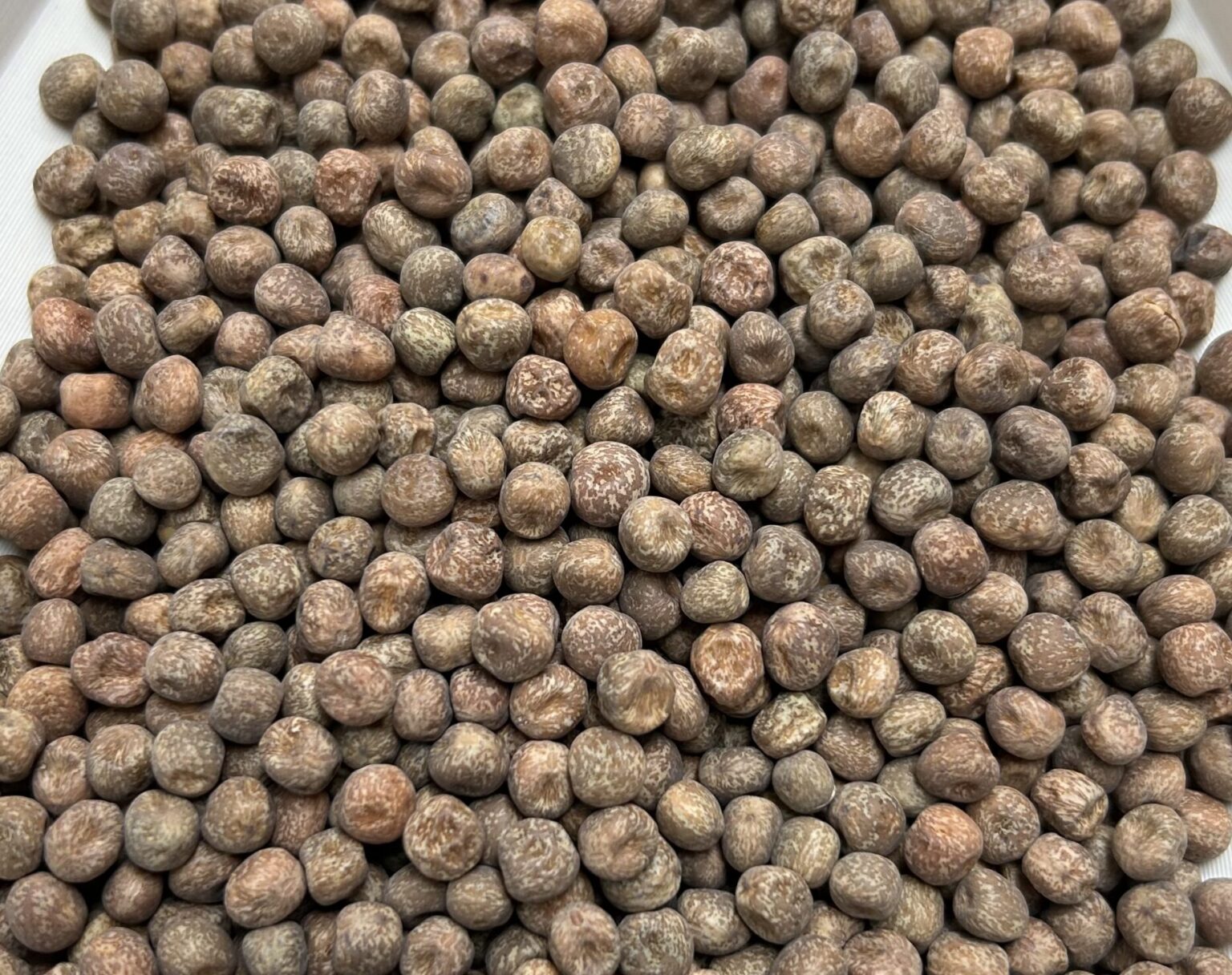 Green peas, Yellow peas, maple peas Canada - BroadGrain